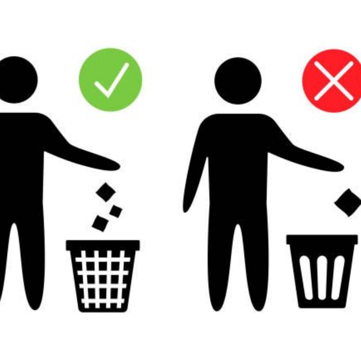 Avalon School - Pollution Patrol!